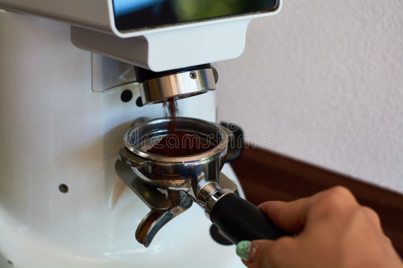 The Process of Grinding Grain into Holder for Making Espresso on Coffee ...
