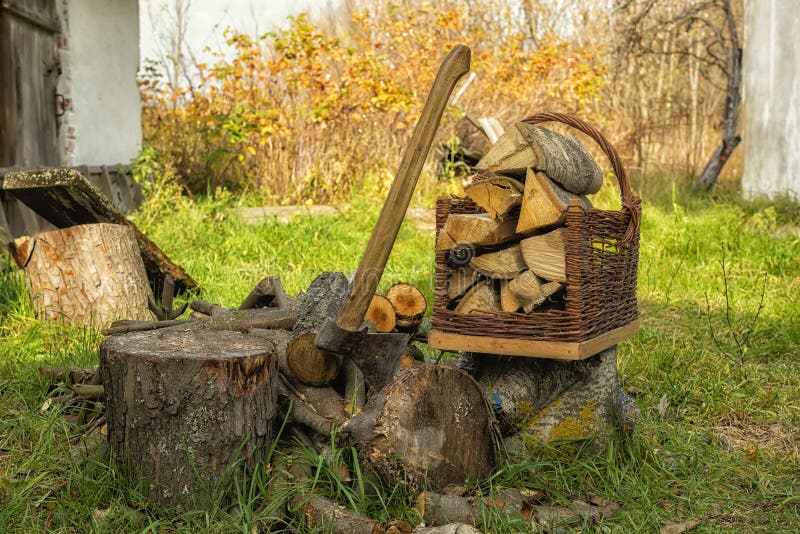 The Process of Harvesting Firewood. a Basket with Firewood and an Ax in ...