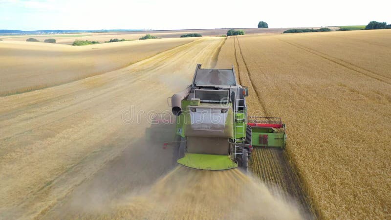 The Process of Harvesting Grain Crops. Top View of a Harvester Working ...