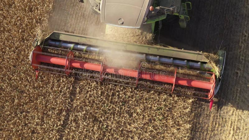 The Process of Harvesting Grain Crops. Top View of a Harvester Working ...