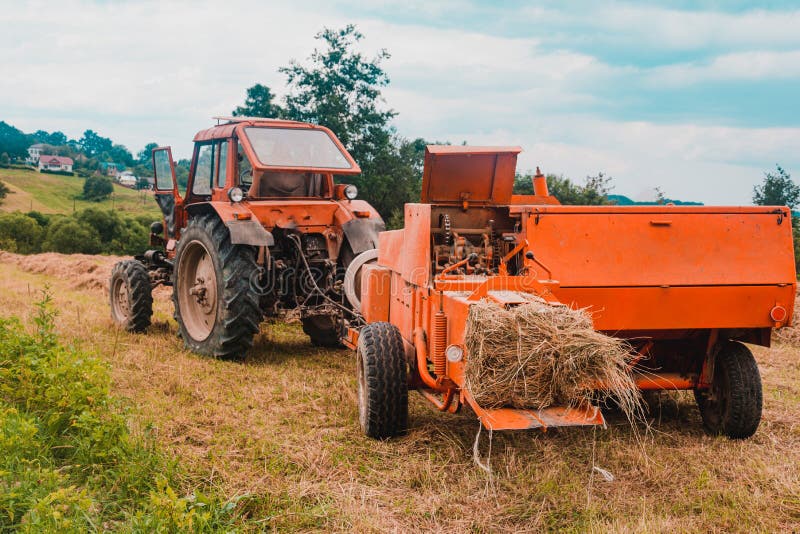 The Process of Harvesting Hay for Cattle, a Tractor Making Bales in the ...