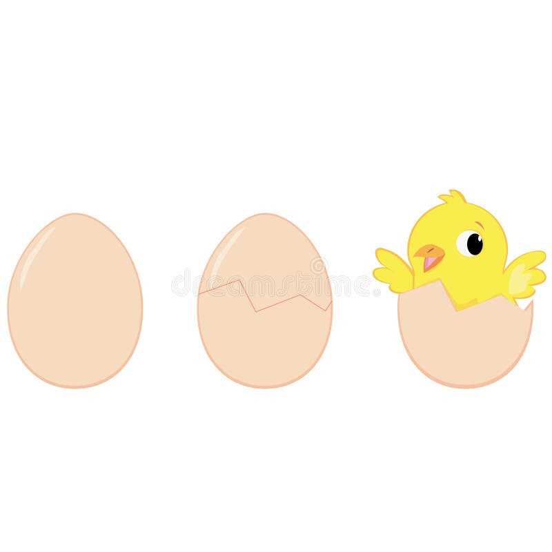 Baby Chick Hatching Cartoon