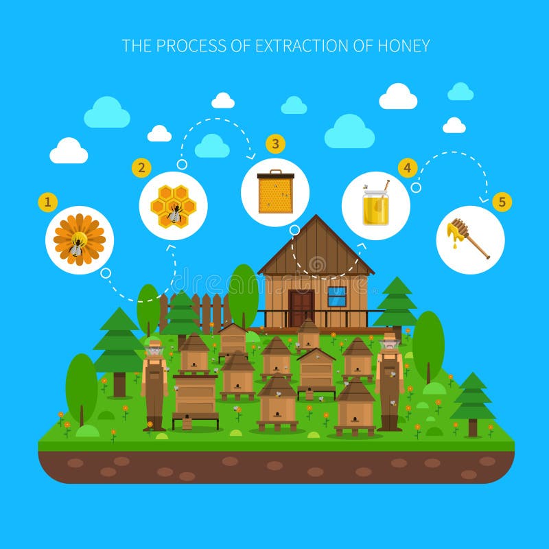 Honey Process Stock Illustrations – 805 Honey Process Stock ...