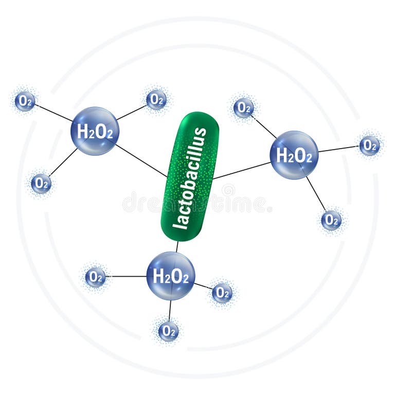 Illustration of the Process of Hydrogen Peroxide Production by ...