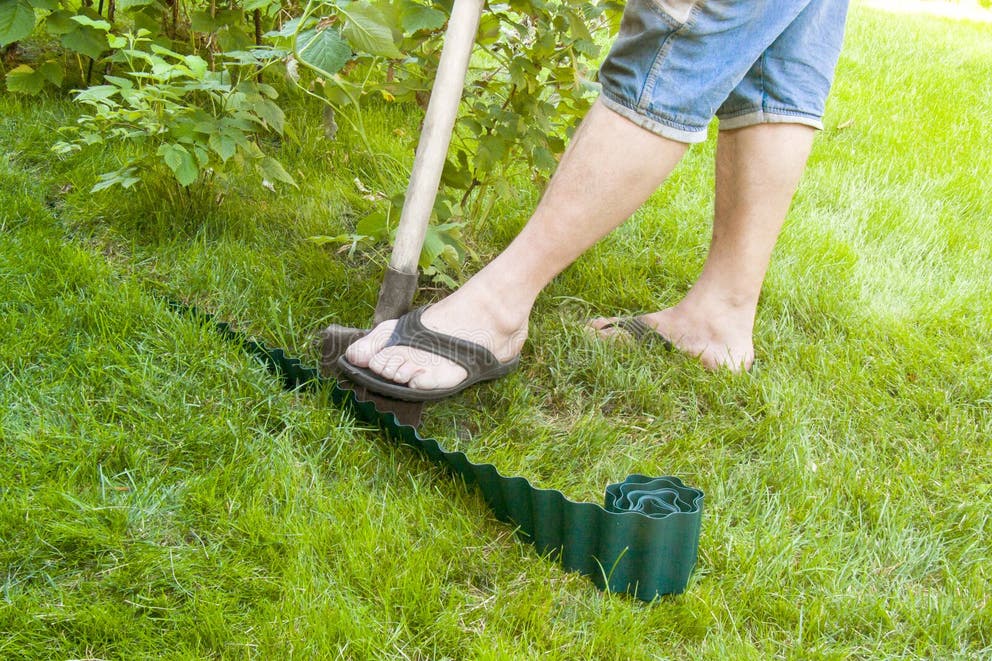 The Process of Installing Lawn Edging. Green Plastic Edging is Placed ...
