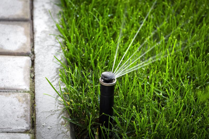 The process of irrigation stock image. Image of irrigation - 146064157