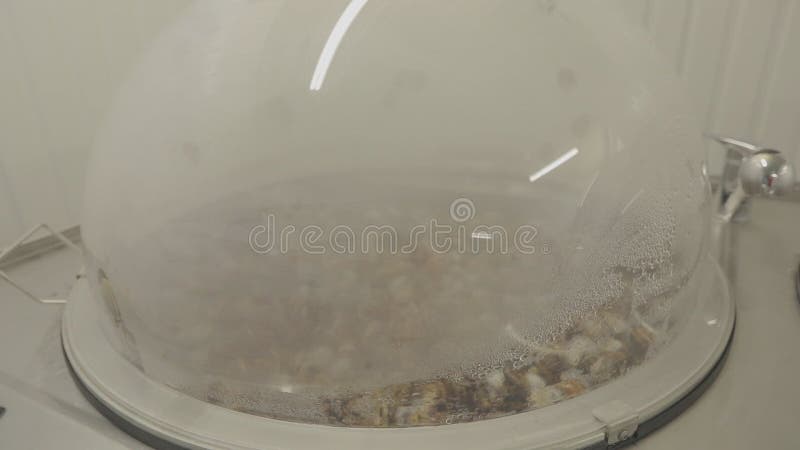 The Process of Isolating Mucin from the Snail. Extraction of Mucin from ...