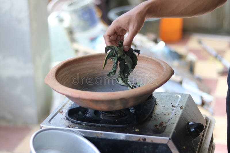 Process the Leaves in a Clay Pot Stock Photo - Image of growth, indoor ...