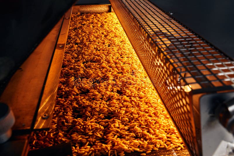 Process of Machine Drying Grains Stock Photo - Image of sorting ...