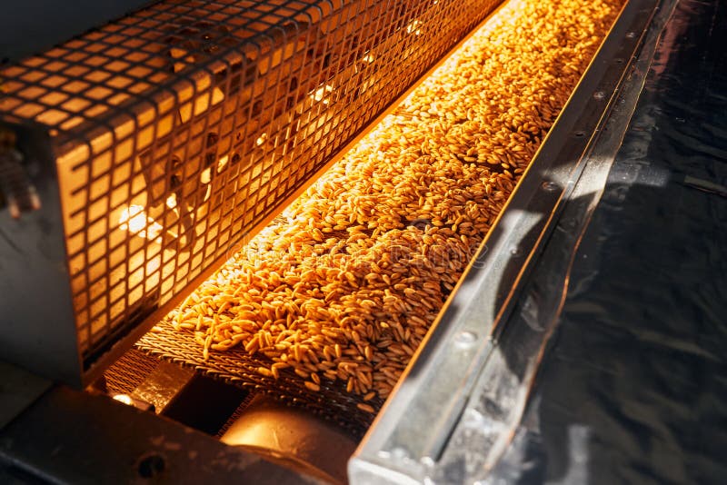 Process of Machine Drying Grains Stock Photo - Image of heater ...