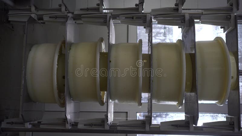 Process of Machine Pressing Cheese at the Manufacturing. As a Part of ...