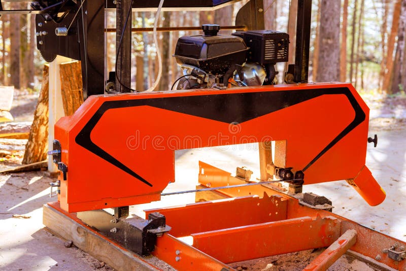 Process of Machining Logs in Equipment Sawmill Machine Saw Saws Tree ...