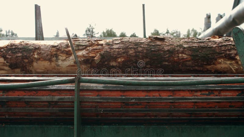 Process of Machining Logs at Sawmill. Processing of Timber at Sawmill ...