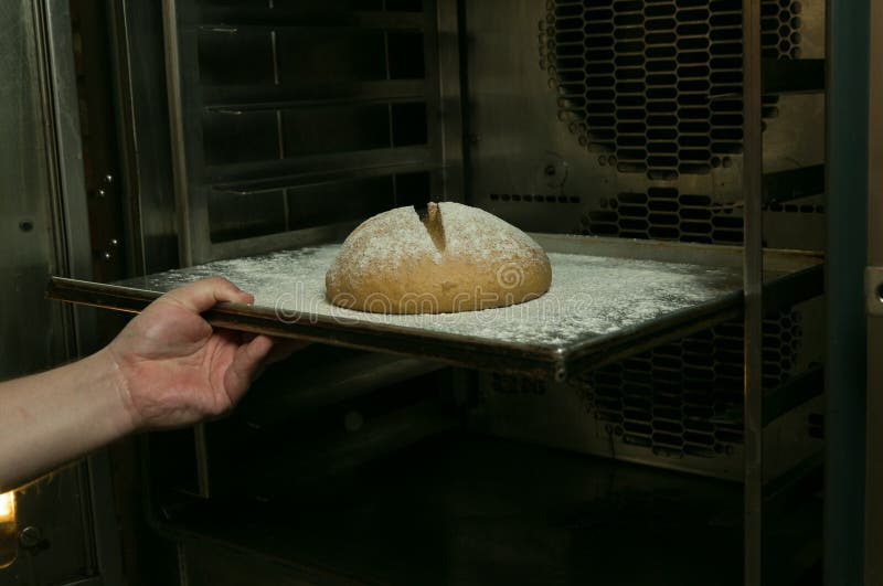 The Process of Making Bread. the Chef Sends the Bread To Be Baked Stock ...