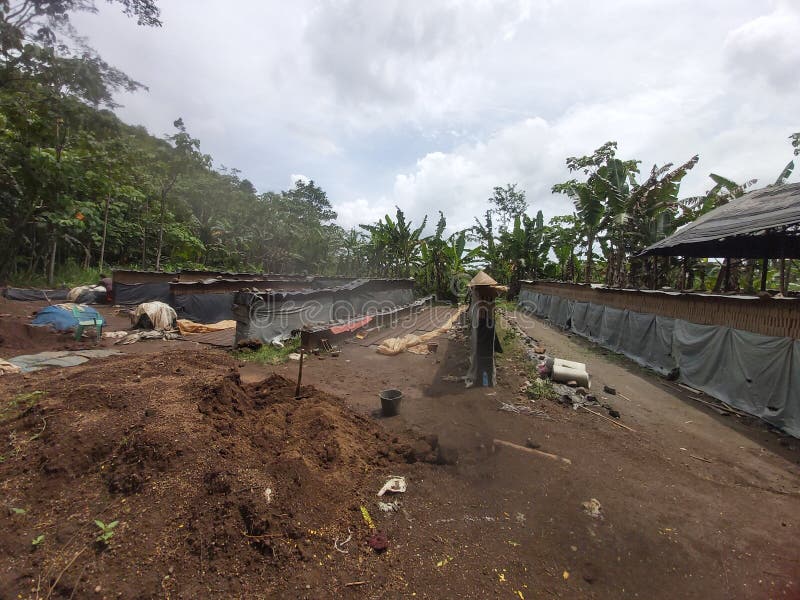 Process of Making Bricks with Clay Stock Photo - Image of process, clay ...