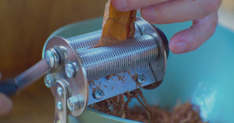 The Process of Making Cigarettes. Grinding Dry Tobacco with a Special ...
