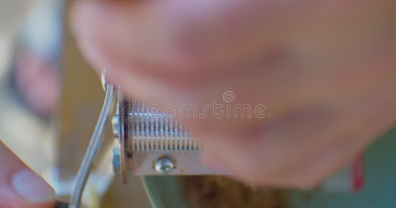 The Process of Making Cigarettes. Grinding Dry Tobacco with a Special ...