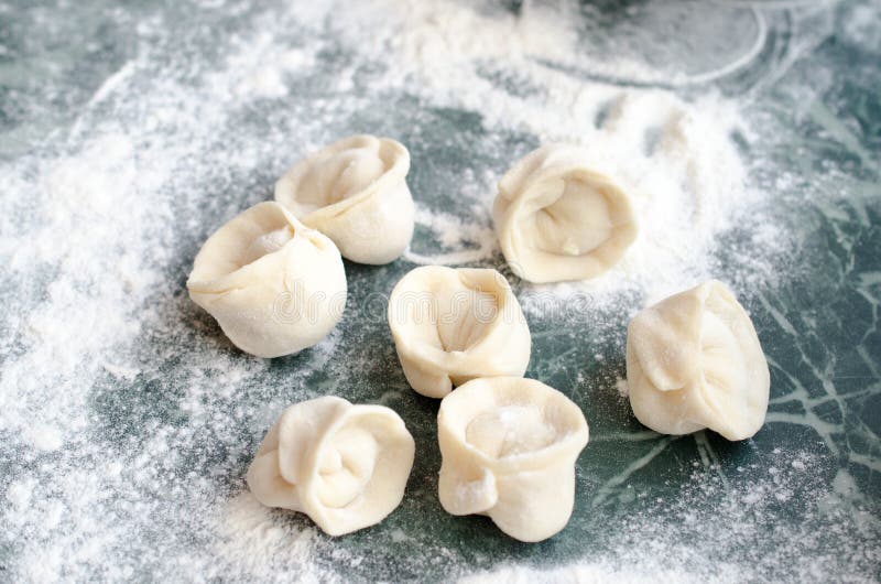 The Process of Making Delicious Home-made Dumplings with Meat. Stock ...