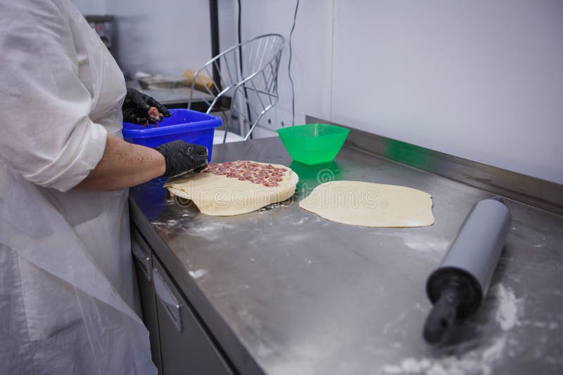 The Process of Making Dumplings, Dumplings Close-up. Stock Image ...
