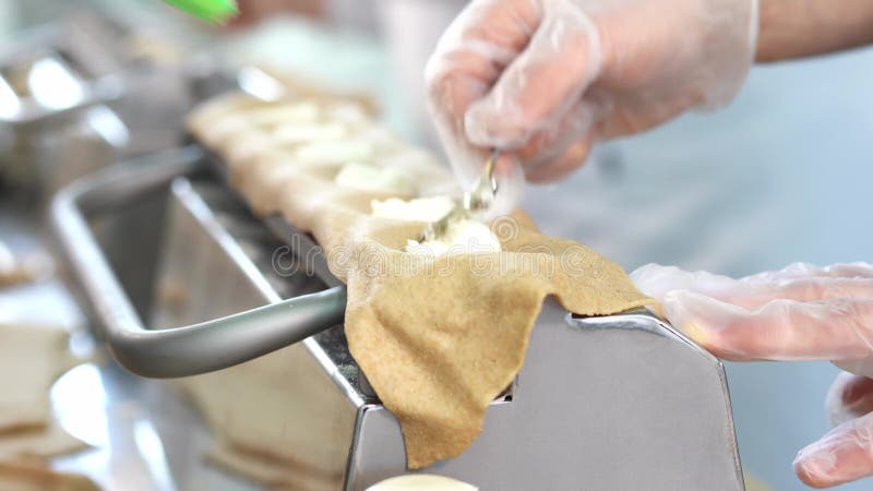 The Process of Making Dumplings. Put the Filling and with the Help of ...