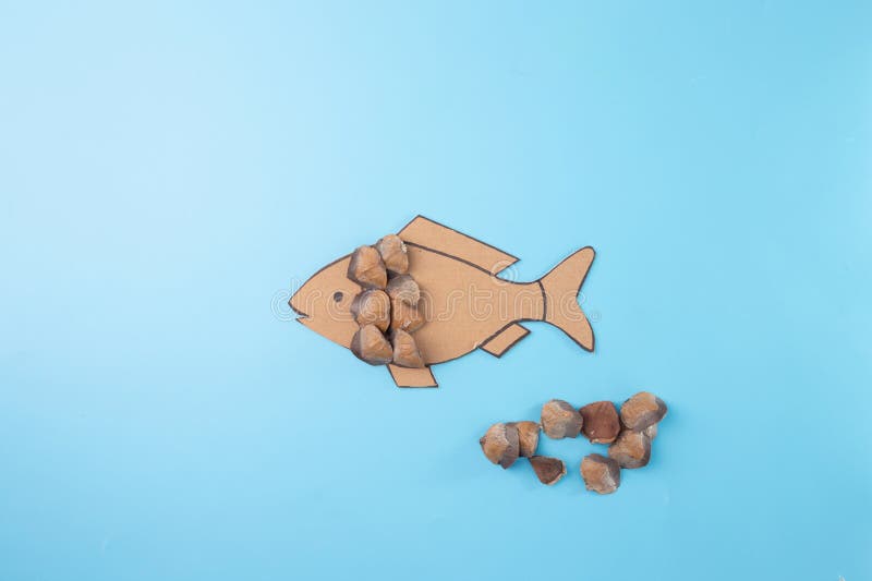 Process of Making a Fish Shaped Craft Using Pine Cones Seed Scales, and ...