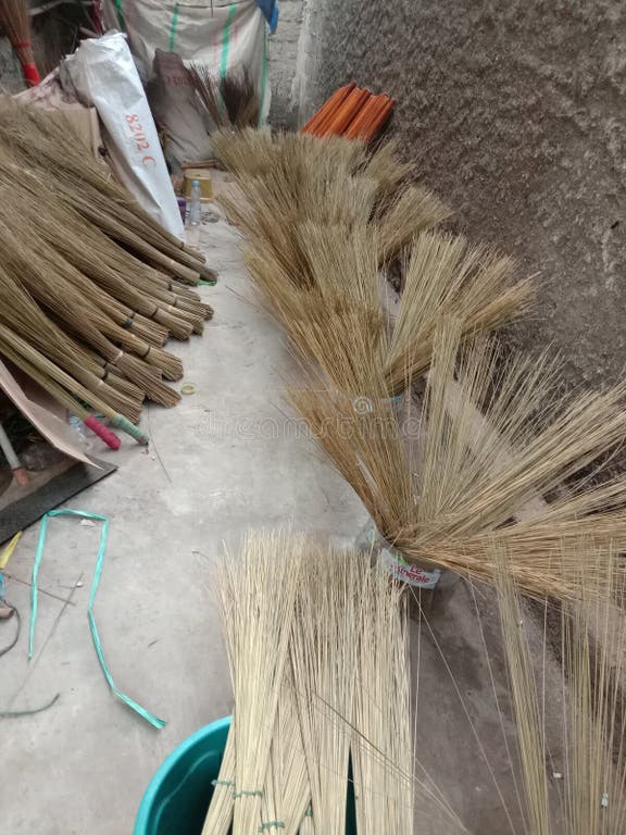 Garden Broom editorial stock image. Image of garden - 294508399