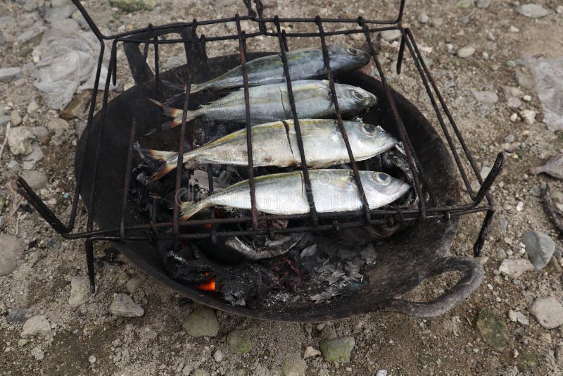 The Process of Making Grilled Fish that is Burned Over Coconut Shell ...