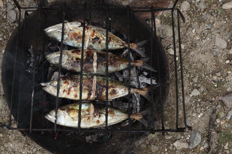The Process of Making Grilled Fish that is Burned Over Coconut Shell ...