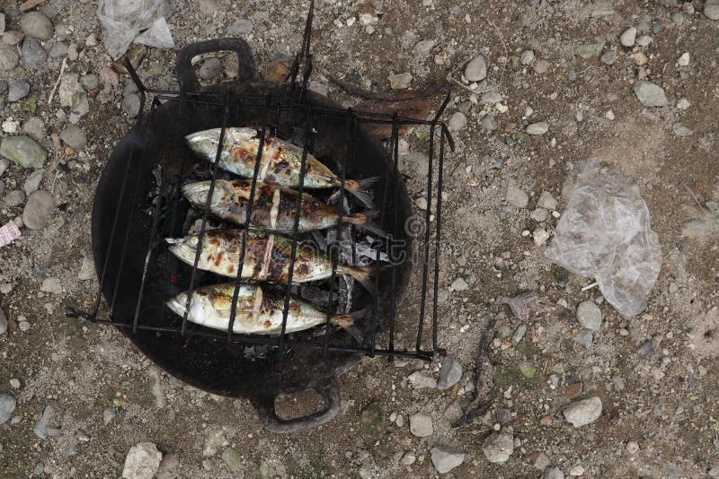 The Process of Making Grilled Fish that is Burned Over Coconut Shell ...