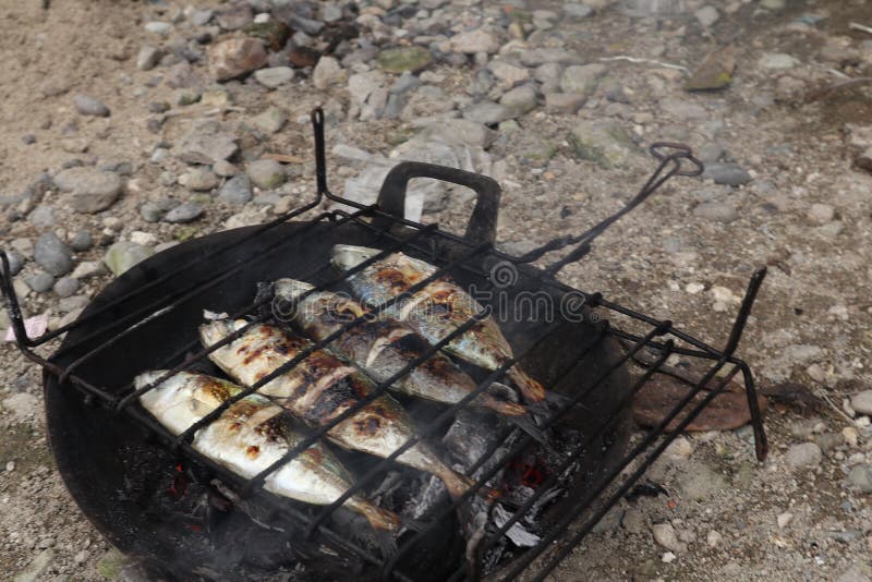 The Process of Making Grilled Fish that is Burned Over Coconut Shell ...