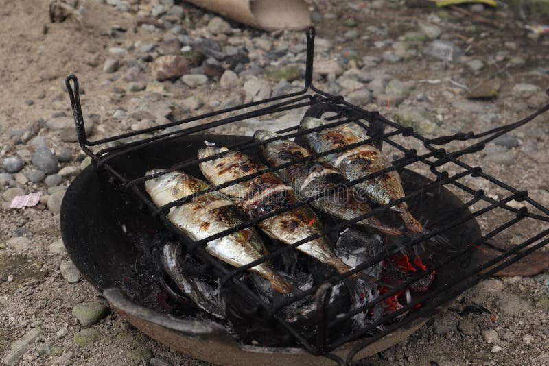 The Process of Making Grilled Fish that is Burned Over Coconut Shell ...