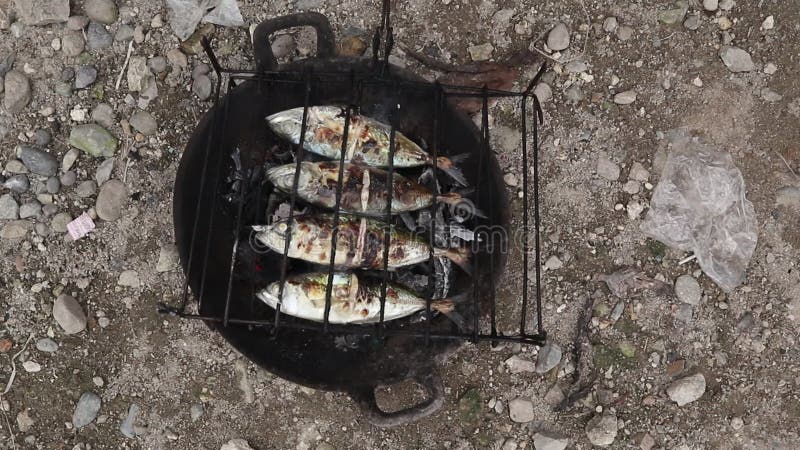 The Process of Making Grilled Fish that is Burned Over Coconut Shell ...