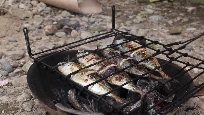 The Process of Making Grilled Fish that is Burned Over Coconut Shell ...