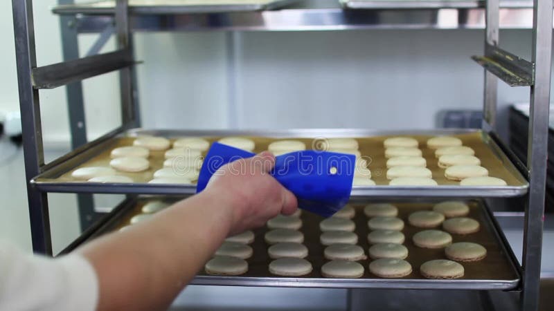 Process of Making Macaron, Cook Puts Trays of Macarons Stock Footage - Video of color, french ...