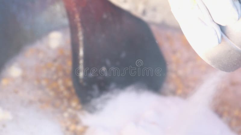 Process of Making Popcorn, Adding Sugar, Stir Hot Corn Kernels into ...