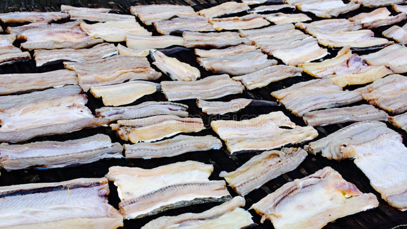 Process of Making Salted Fish: Dying in the Sun after Being Cut in Half ...