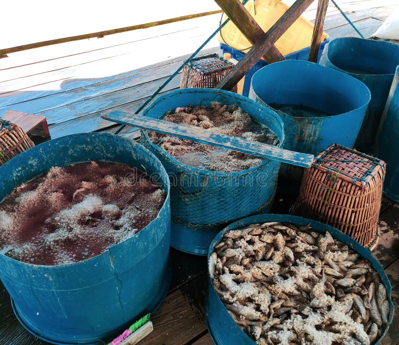 This is the Process of Making Salted Fish in One of the Regions in ...