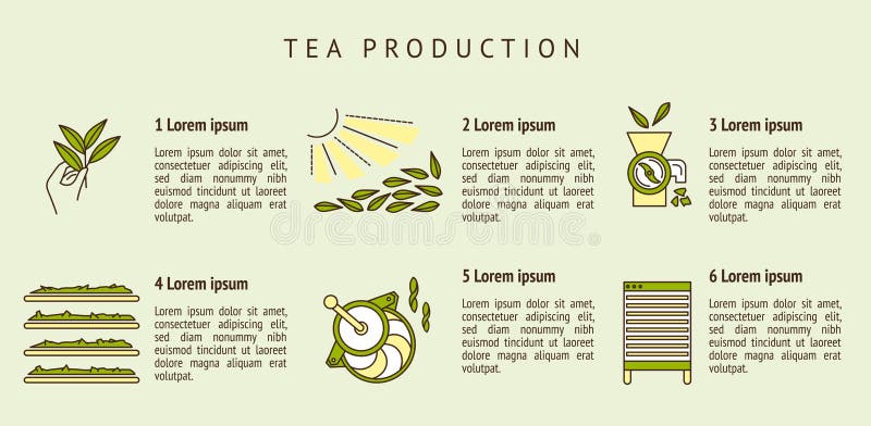 The Process of Making Tea by Stages Stock Vector - Illustration of icon ...