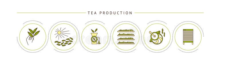 Making Process Tea Stock Illustrations – 133 Making Process Tea Stock ...