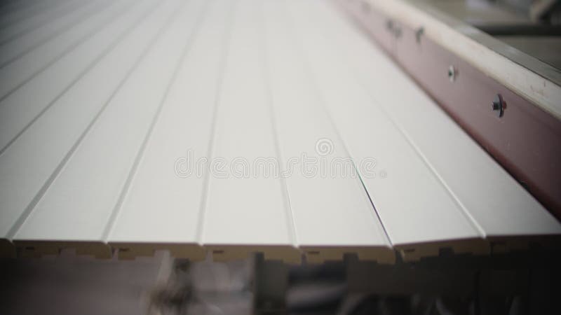 The Process of Making Wooden Doors. Production of Interior Doors of ...