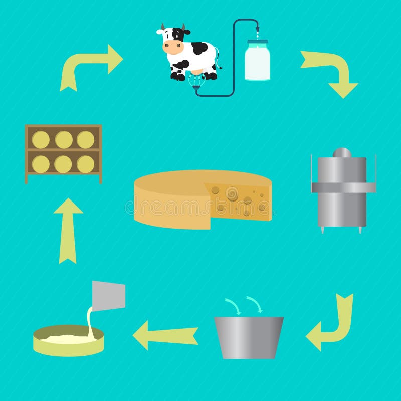 Process for Manufacturing Cheese Stock Vector - Illustration of flow ...