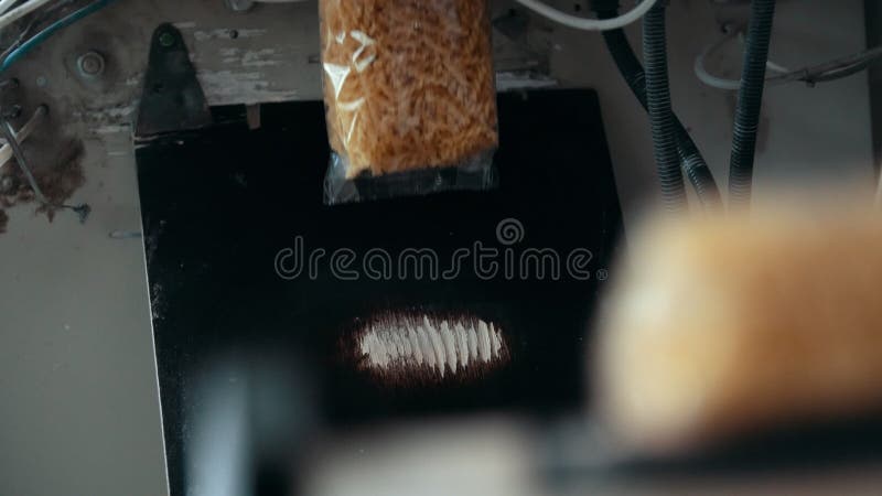 Process of Packaging Macaroni on the Industrial Equipment of Macaroni ...