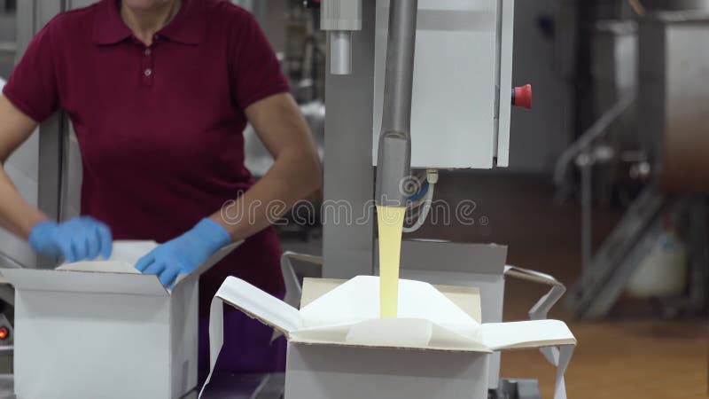 The Process of Packing Butter into Boxes. Closeup View of Packing ...