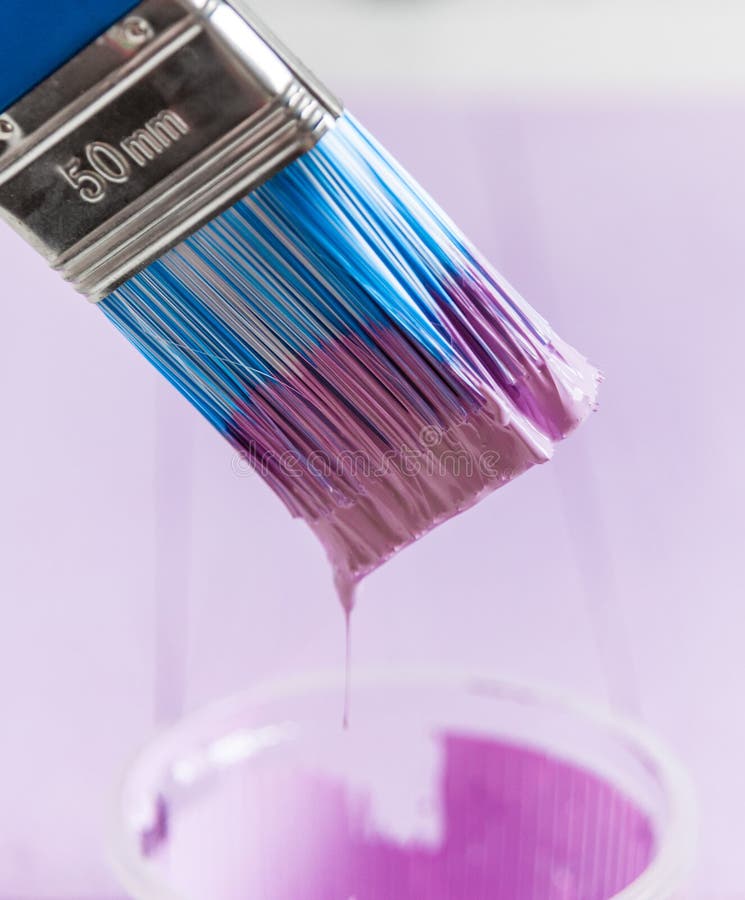 Process of Painting the Wood Boards with Brush and Violet Color Stock ...