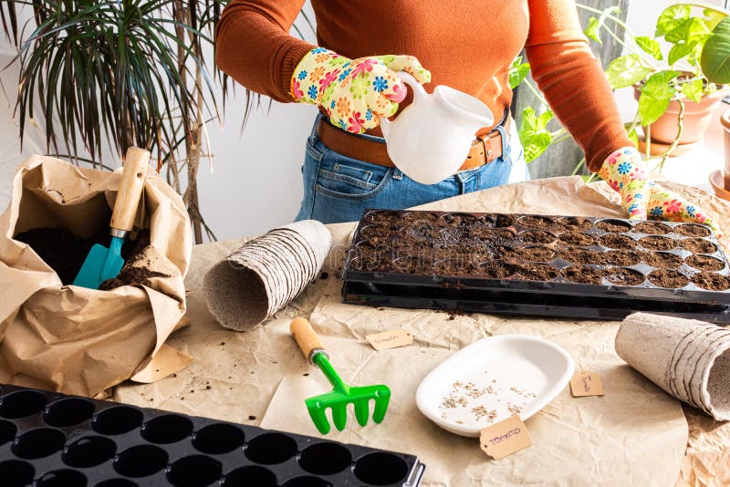 Woman is Planting Seedlings at Home Stock Photo - Image of food ...