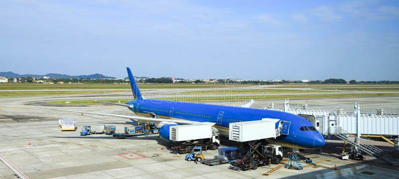 Process of Pre-flight Service and Handling. Luggage and Catering ...