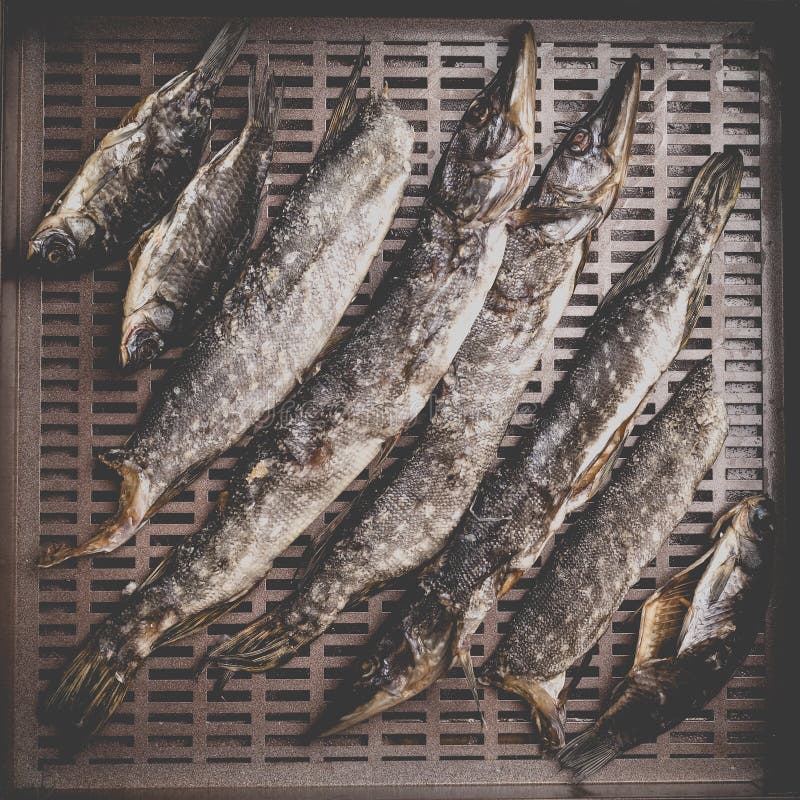 The Process of Preparing Dried Fish with an Automatic Dryer at Home ...