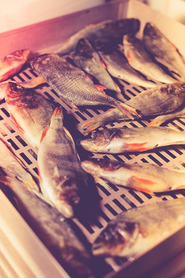 The Process of Preparing Dried Fish with an Automatic Dryer at Home ...