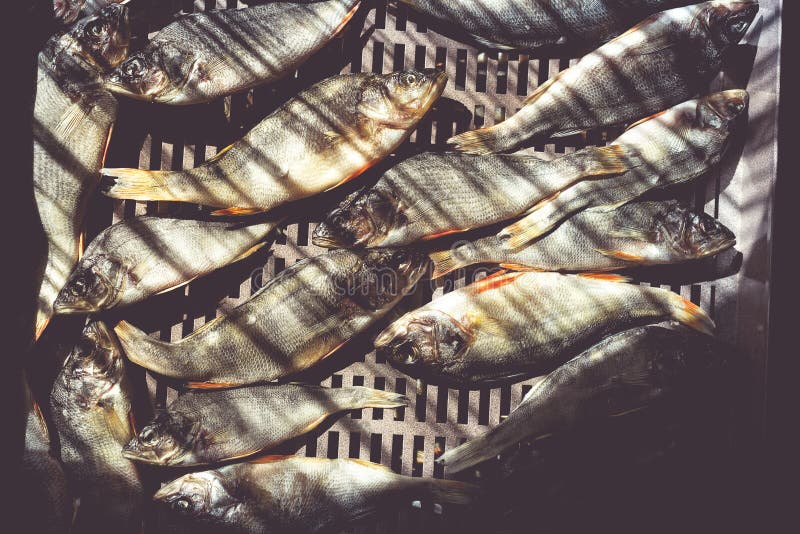 The Process of Preparing Dried Fish with an Automatic Dryer at Home ...