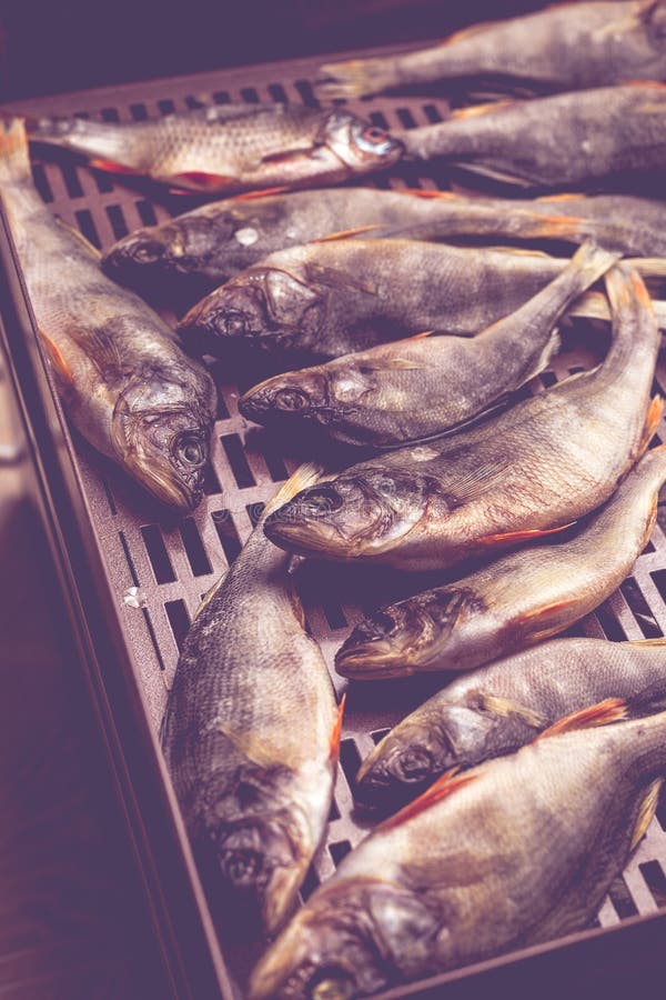 The Process of Preparing Dried Fish with an Automatic Dryer at Home ...